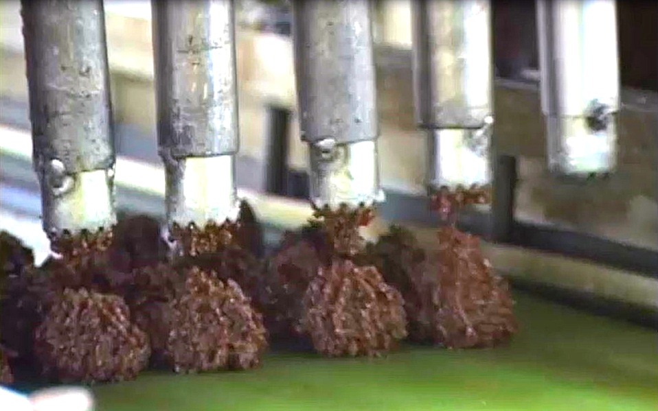 The Macaroon King – A Documentary film by Elka Gould.